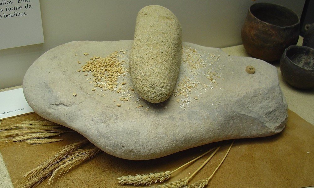 Learn About the Interesting History of Bread - FoodTribute